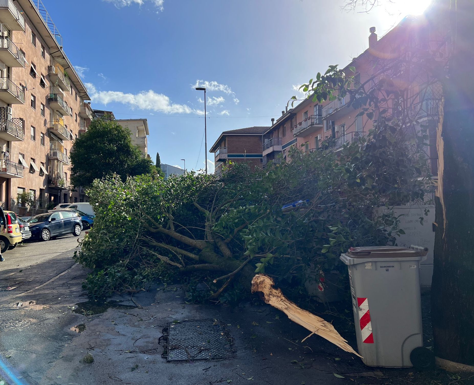 Pioggia e vento a 70 chilometri orari su Perugia, alberi caduti in ...