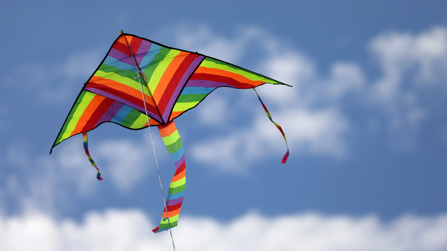 Come costruire e far volare gli aquiloni: a lezione con gli Aquilonisti ...