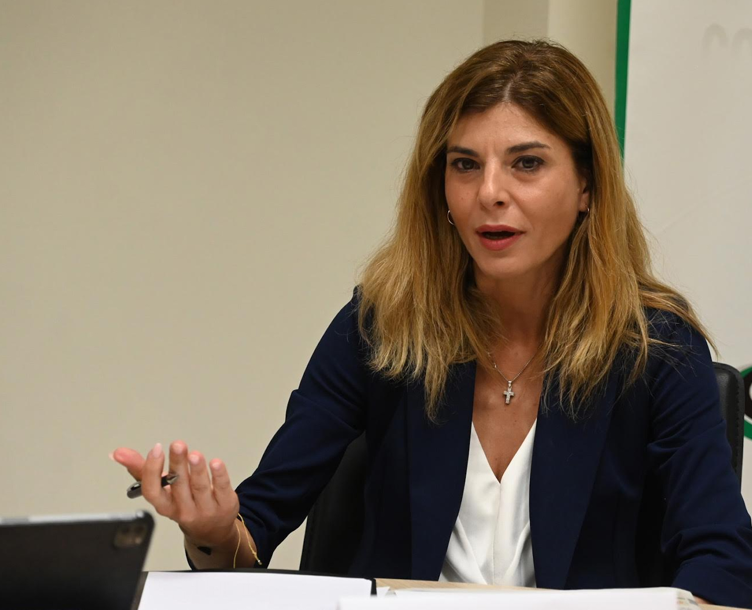 «Insulti social dalla moglie dell’assessore»: Scoccia chiede ...
