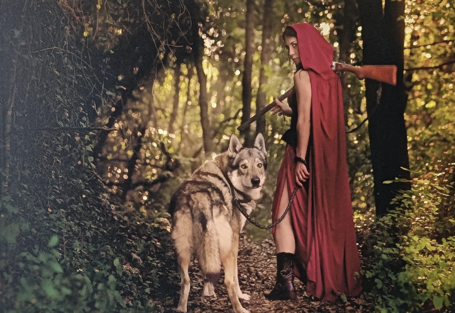 Luca Marchetti e il suo “Cappuccetto Rosso” in mostra a Firenze - Umbria 7
