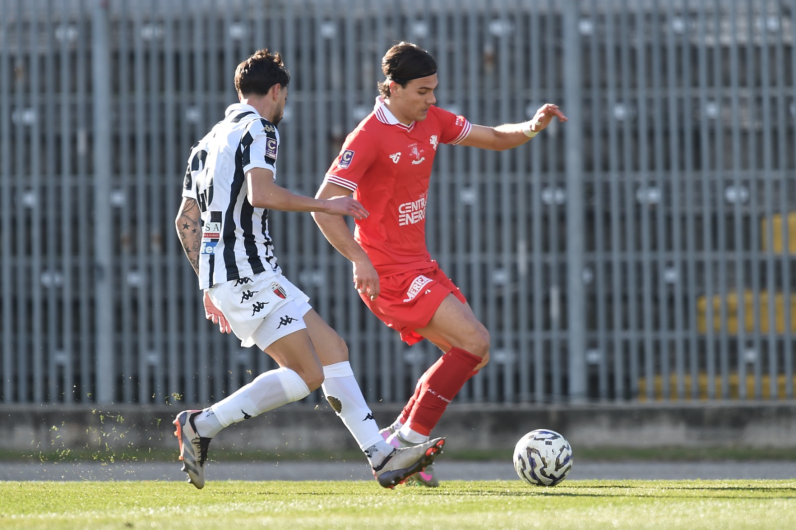 Grifo ko ad Ascoli - Umbria 7