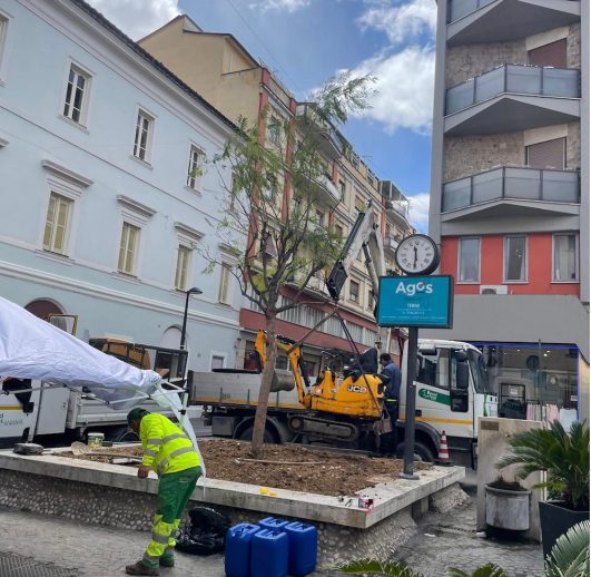 Bye bye degrado: a largo Villa Glori torna il verde - Umbria 7